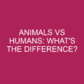 Animals Vs Humans: What's The Difference? » Differencess