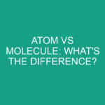 Atom Vs Molecule: What's The Difference? » Differencess