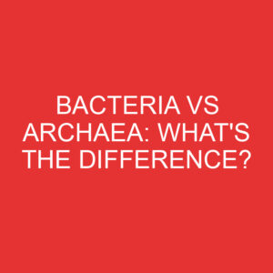 Bacteria Vs Archaea: What's The Difference? » Differencess