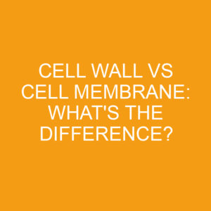 Cell Wall Vs Cell Membrane: What's The Difference? » Differencess