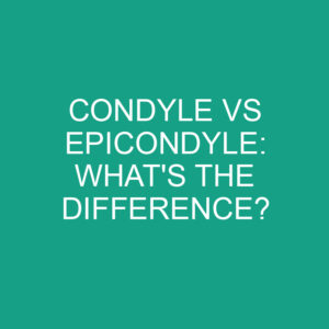 Condyle Vs Epicondyle: What's The Difference? » Differencess