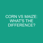 Corn Vs Maize: What's The Difference? » Differencess