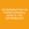 Determination Vs Perseverance: What's The Difference? » Differencess