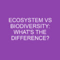 Ecosystem Vs Biodiversity: What's The Difference? » Differencess