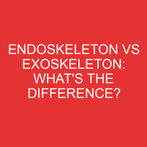 Endoskeleton Vs Exoskeleton: What's The Difference? » Differencess