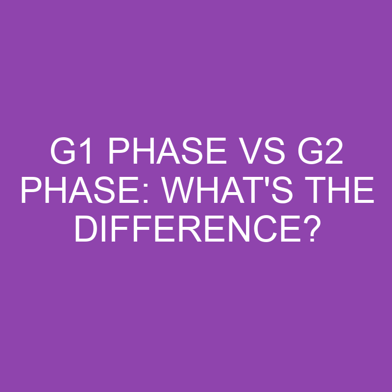 G1 Phase Vs G2 Phase What s The Difference Differencess G1 Phase Vs G2 Phase What s The Difference Differencess