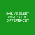 Hail Vs Sleet: What's The Difference? » Differencess