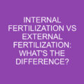 Internal Fertilization Vs External Fertilization: What's The Difference ...