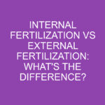 Internal Fertilization Vs External Fertilization: What's The Difference ...