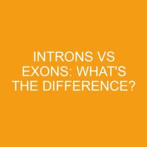Introns Vs Exons: What's The Difference? » Differencess