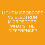 Light Microscope Vs Electron Microscope: What's The Difference ...