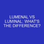 Lumenal Vs Luminal: What's The Difference? » Differencess