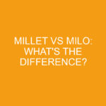 Millet Vs Milo: What's The Difference? » Differencess