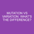 Mutation Vs Variation: What's The Difference? » Differencess