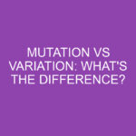 Mutation Vs Variation: What's The Difference? » Differencess