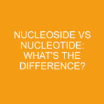 Nucleoside Vs Nucleotide: What's The Difference? » Differencess