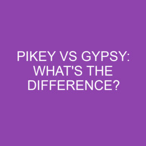 Pikey Vs Gypsy: What's The Difference? » Differencess