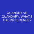 Quandry Vs Quandary: What's The Difference? » Differencess
