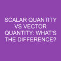 Scalar Quantity Vs Vector Quantity: What's The Difference? » Differencess