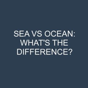 Sea Vs Ocean: What's The Difference? » Differencess
