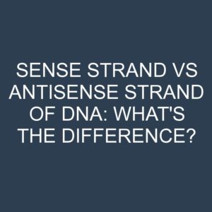 Sense Strand Vs Antisense Strand Of Dna: What's The Difference ...