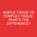 Simple Tissue Vs Complex Tissue: What's The Difference? » Differencess