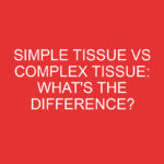 Simple Tissue Vs Complex Tissue: What's The Difference? » Differencess