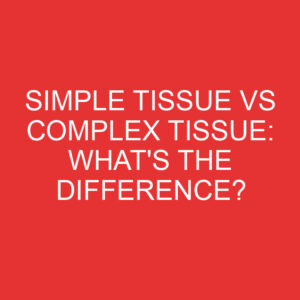 Simple Tissue Vs Complex Tissue: What's The Difference? » Differencess
