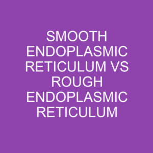 Smooth Endoplasmic Reticulum Vs Rough Endoplasmic Reticulum » Differencess