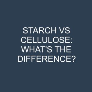 O Positive Vs O Negative: What's The Difference? » Differencess