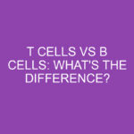 T Cells Vs B Cells: What's The Difference? » Differencess