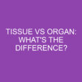 Tissue Vs Organ: What's The Difference? » Differencess