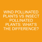 Wind Pollinated Plants Vs Insect Pollinated Plants: What's The ...