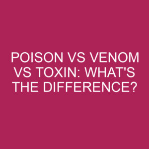 Poison Vs Venom Vs Toxin: What's The Difference? » Differencess