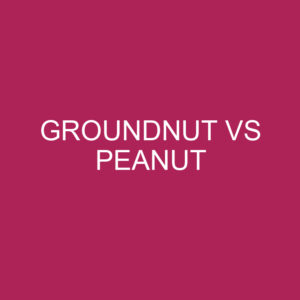 Groundnut Vs Peanut: What's The Difference? » Differencess
