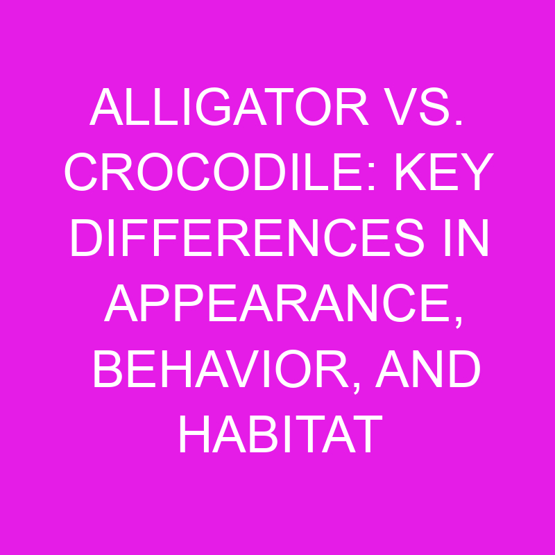 Alligator Vs. Crocodile: Key Differences In Appearance, Behavior, And Habitat » Differencess