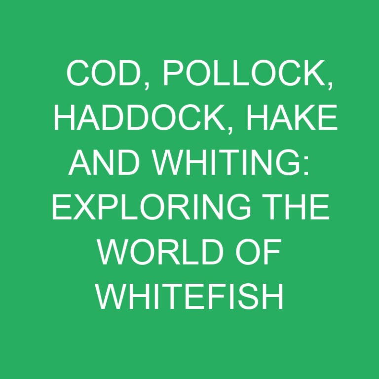 Cod, Pollock, Haddock, Hake And Whiting: Exploring Whitefish » Differencess