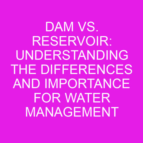 Dam Vs. Reservoir: Understanding The Differences And Importance For ...