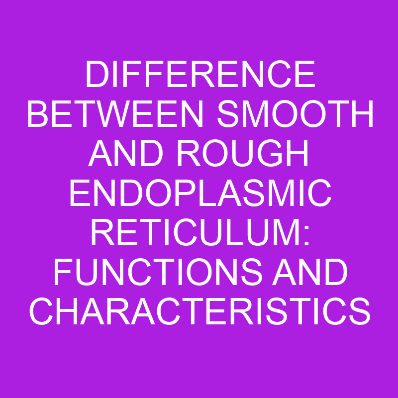 What Is The Definition And Function Of Smooth Endoplasmic
