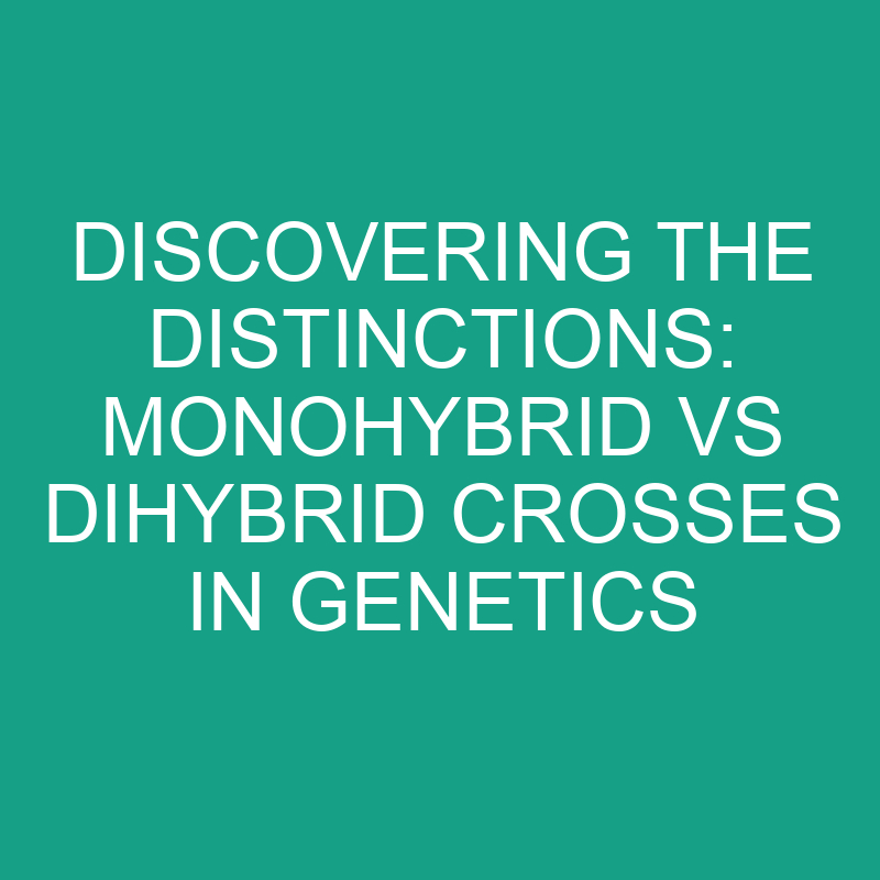Epigenetics Vs Genetics