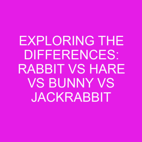 Exploring The Differences: Rabbit Vs Hare Vs Bunny Vs Jackrabbit ...