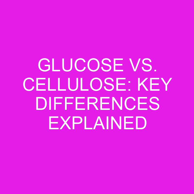 Glucose Vs. Cellulose: Key Differences Explained » Differencess
