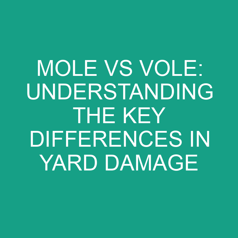 Mole Vs Vole: Understanding The Key Differences In Yard Damage ...