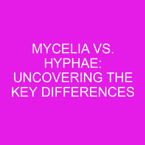 Mycelia Vs. Hyphae: Uncovering The Key Differences » Differencess