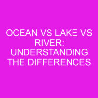 Ocean Vs Lake Vs River: Understanding The Differences » Differencess
