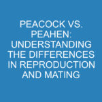 Peacock Vs. Peahen: Understanding The Differences In Reproduction And Mating » Differencess