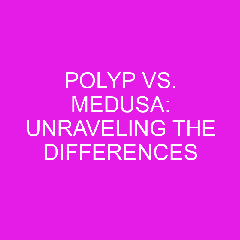 Polyp Vs. Medusa: Unraveling The Differences » Differencess
