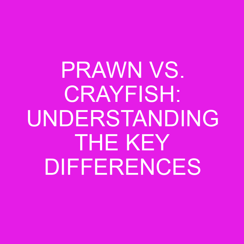Prawn Vs. Crayfish: Understanding The Key Differences » Differencess
