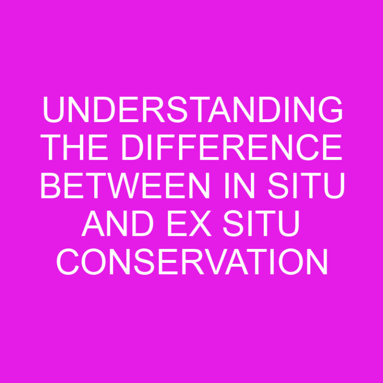 Understanding The Difference Between In Situ And Ex Situ Conservation ...