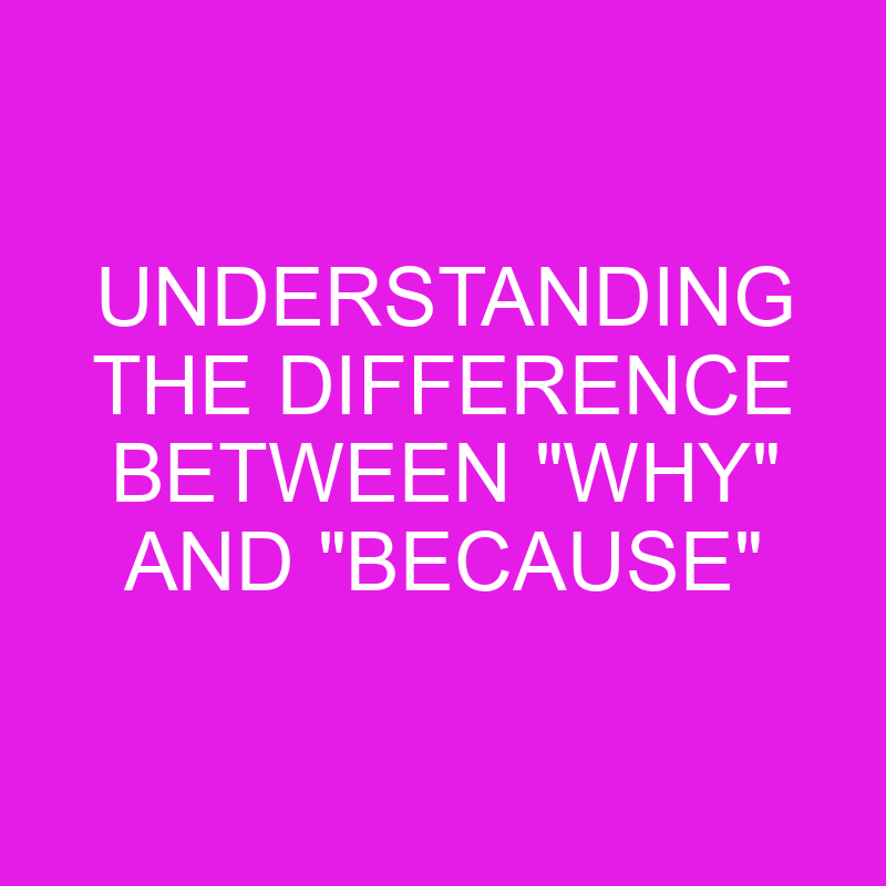 Understanding The Difference Between "Why" And "Because" » Differencess